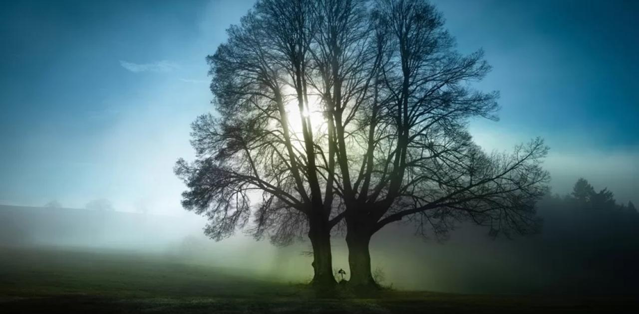 Κλιματική αλλαγή: Πάνω από 15.000 νεκροί το φετινό καλοκαίρι στην Ευρώπη | Pentapostagma